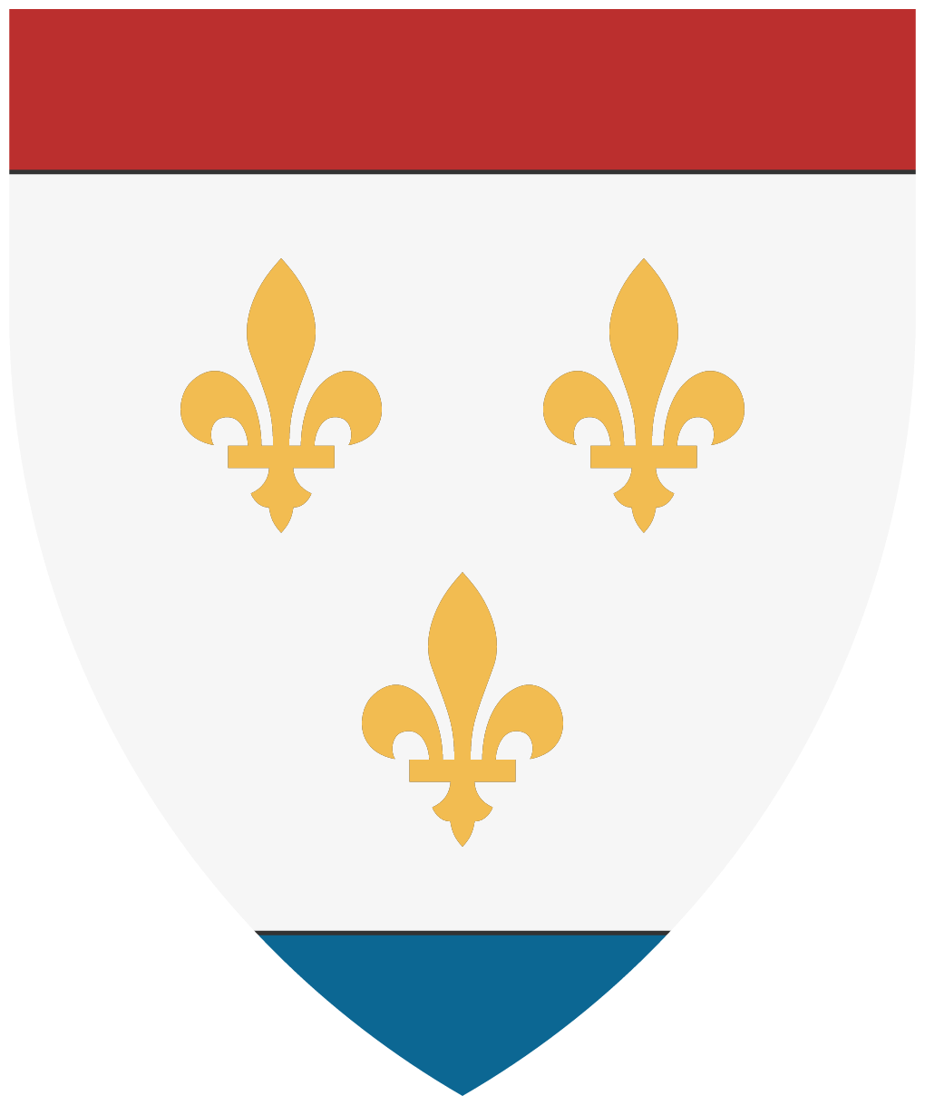 New Orleans, Louisiana Coat of Arms Standard by lambquentin