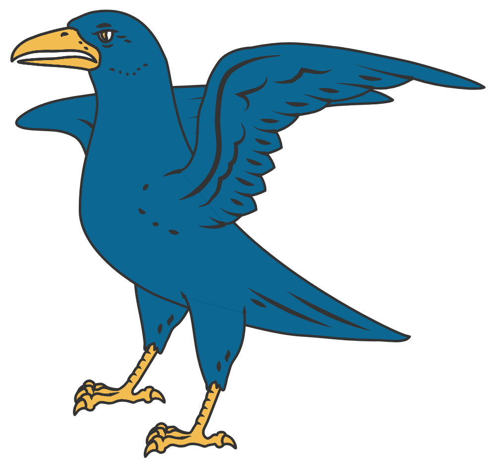 Raven Rising by vlk2020